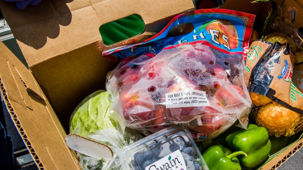 Why more public libraries are doubling as food distribution hubs